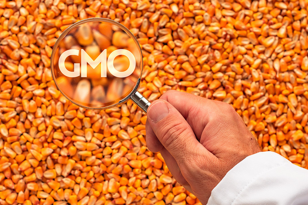 GMOs AND FRANKENFOODS: GOD MOVE OVER! · GREEK MEDICINE'S BLOG
